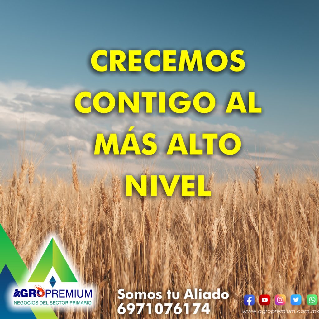 Servicios y Productos – Agropremium